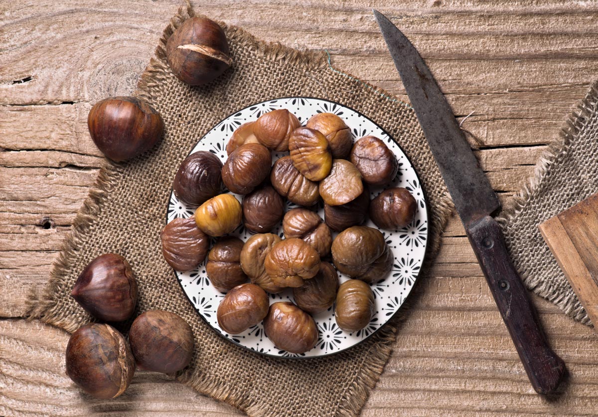 La castagna: pane di montagna, pilastro della gastronomia lucana ...